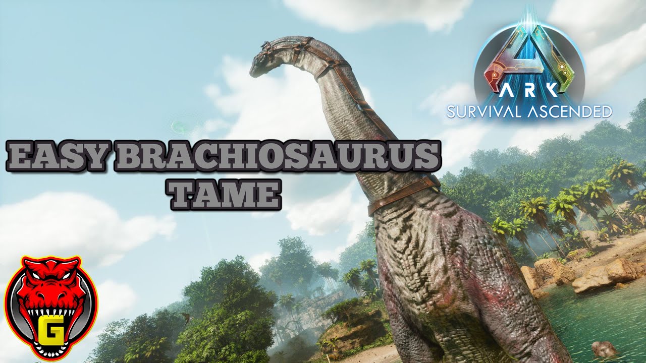 EASY Brachiosaurus Tame Guide! Ark Survival Ascended! - YouTube