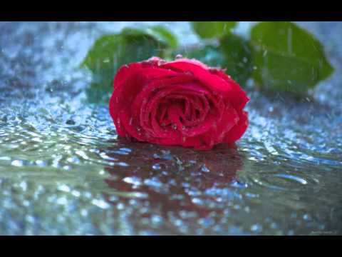 Qadın hicabsız dua edə və Quran oxuya bilərmi?-Adil Rəcəbov