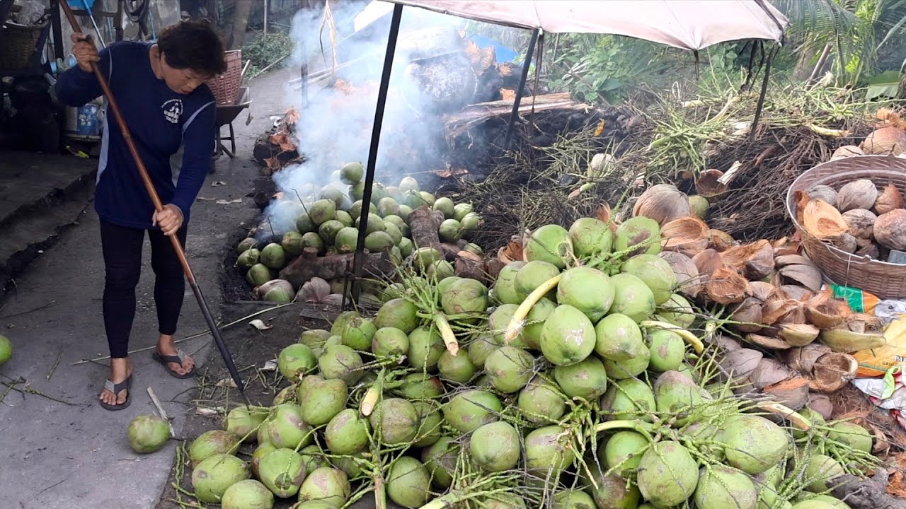 Coconut Lovers! What To Expect From A Coconut - YouTube