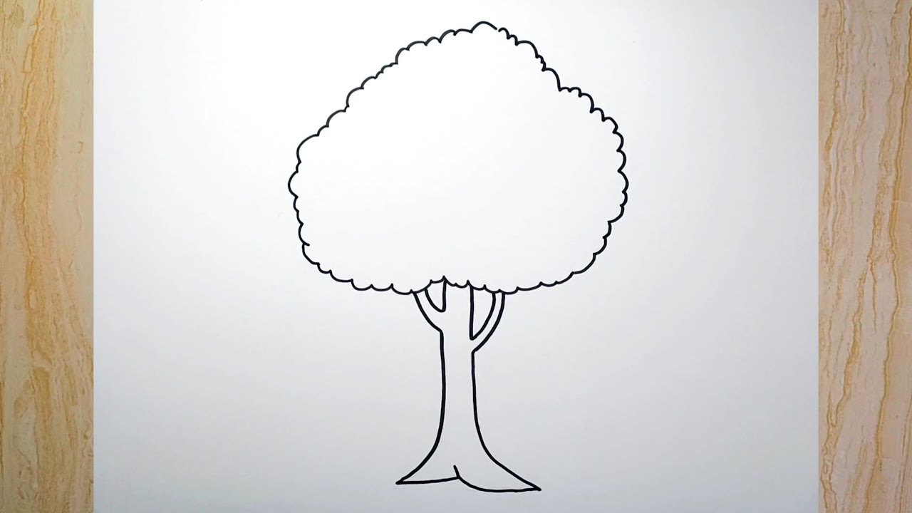 Menggambar pohon yang mudah - Gambar pohon - YouTube