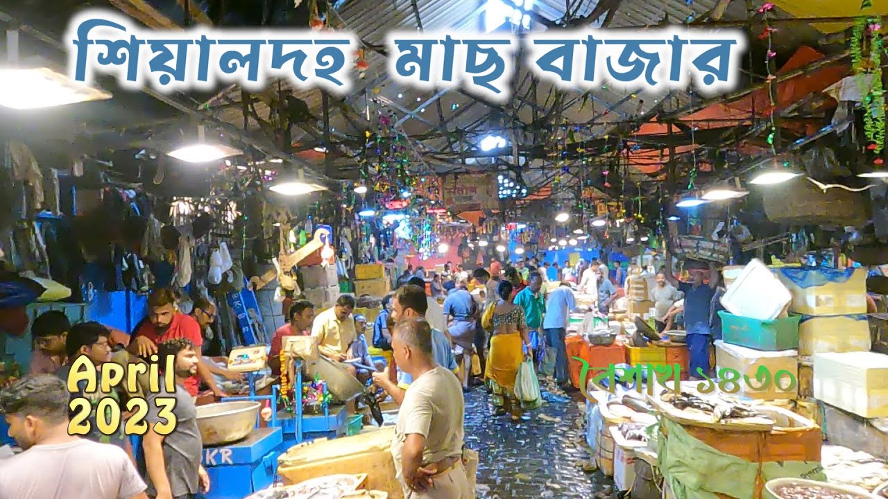 শিয়ালদহ মাছের বাজার || কলকাতা মাছের বাজার || Bengali fish market - YouTube