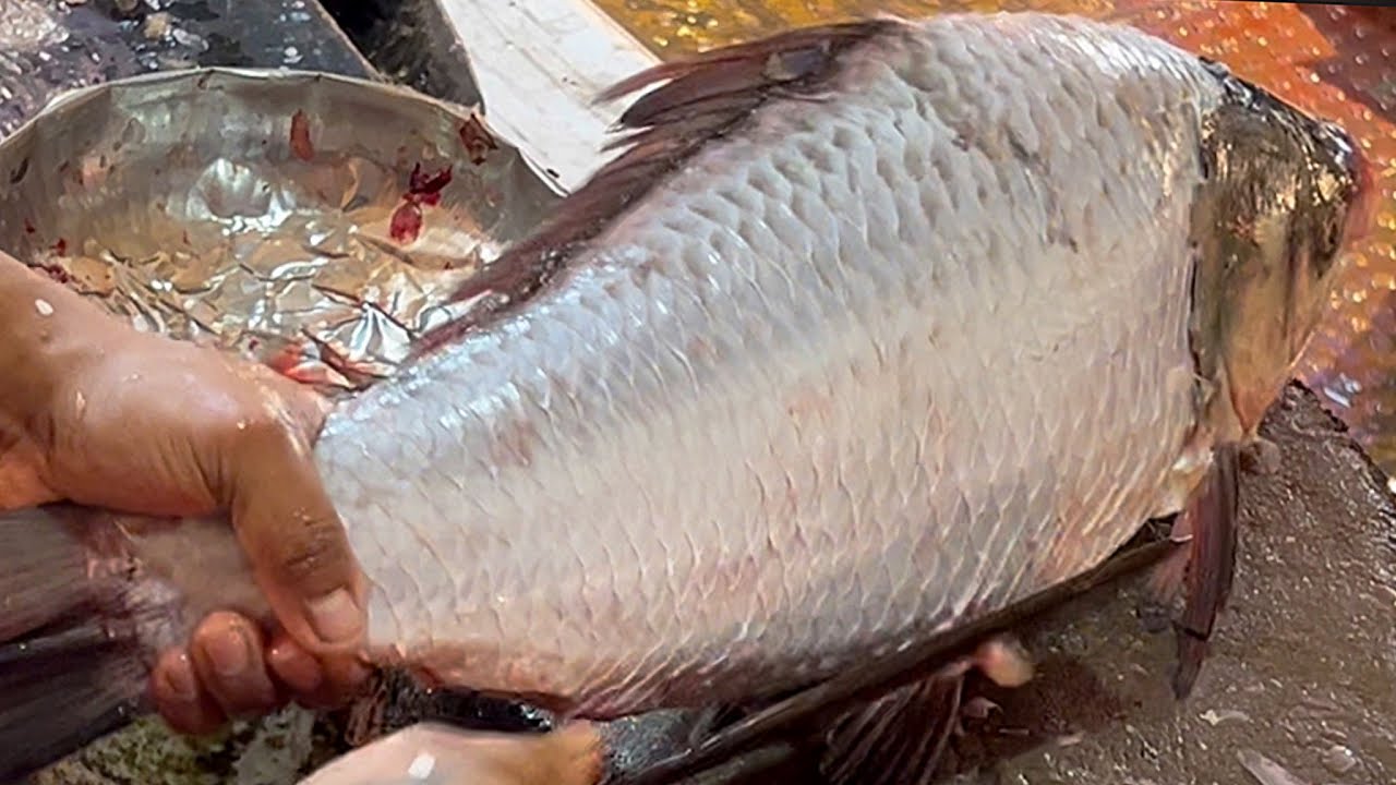 Amazing Big Katla Carp Fish Cutting Skills Live In Fish Market | Fish ...