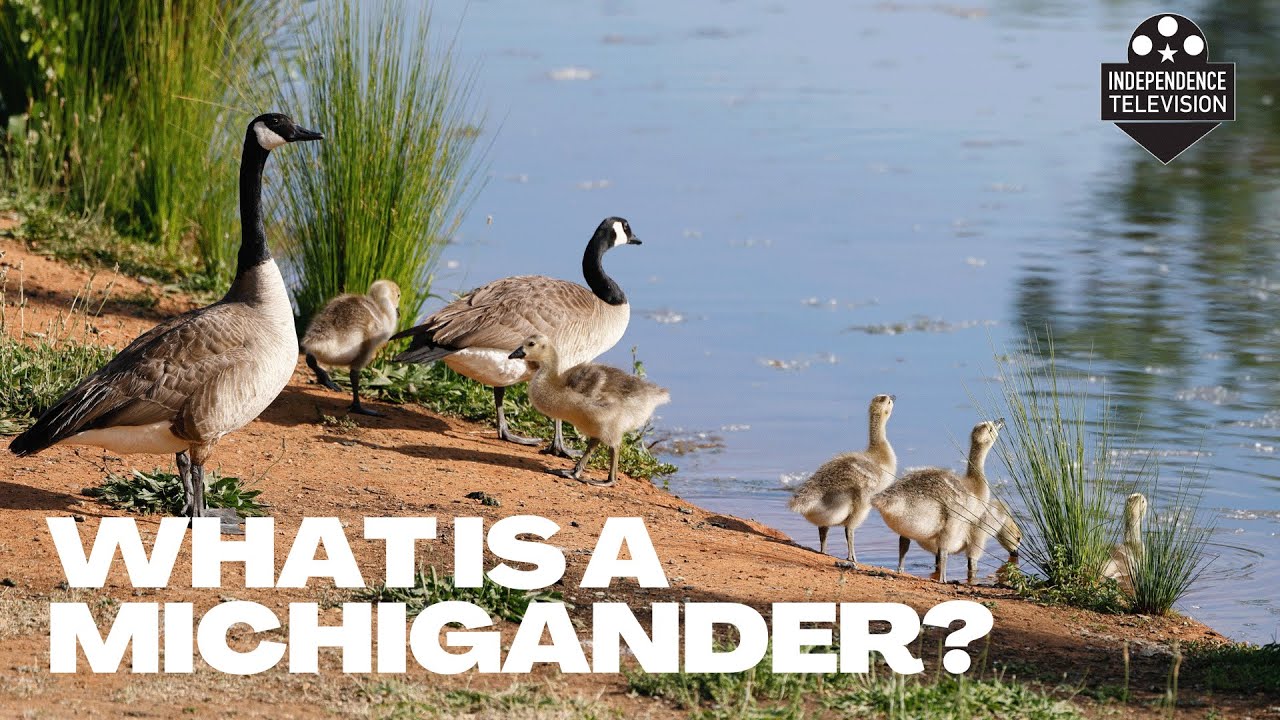 The Michigander - Michigan Moment - YouTube