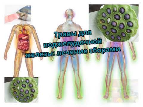 Травы для поджелудочной железы: лечение сборами - YouTube