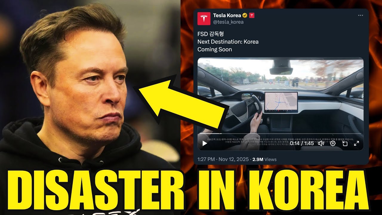 Elon Musk Tesla DISASTER in Korea - YouTube