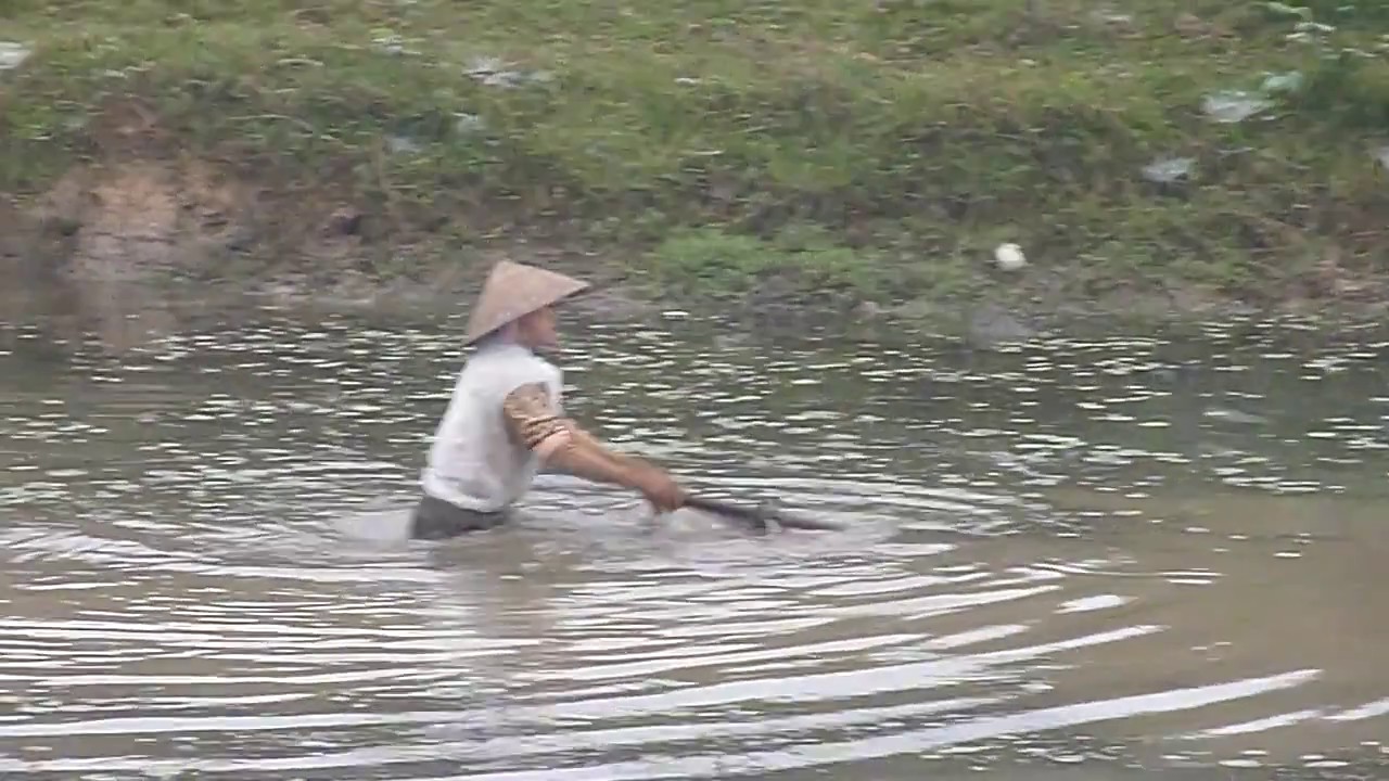 Ninh Binh collecting snails - YouTube