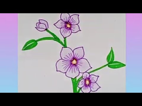 How to draw periwinkle flowers step by step. - YouTube