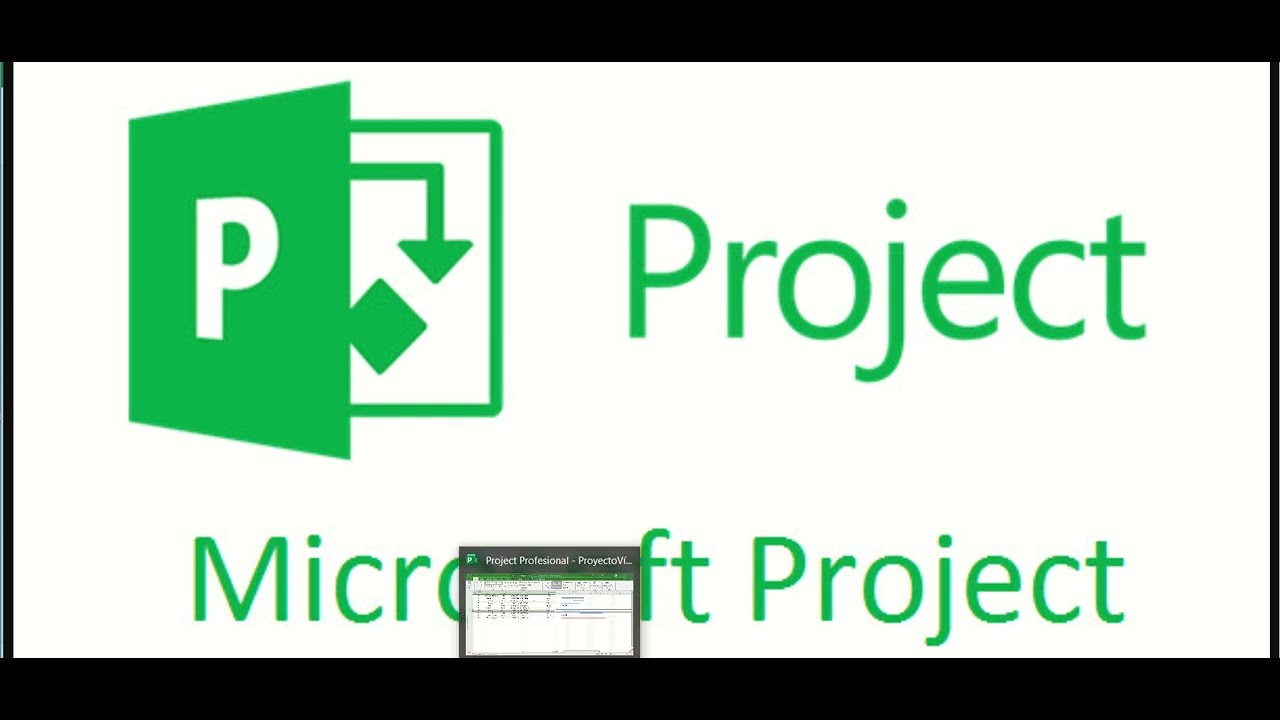 B1 Microsoft Project Creación de recursos Tipos de recursos, elementos ...