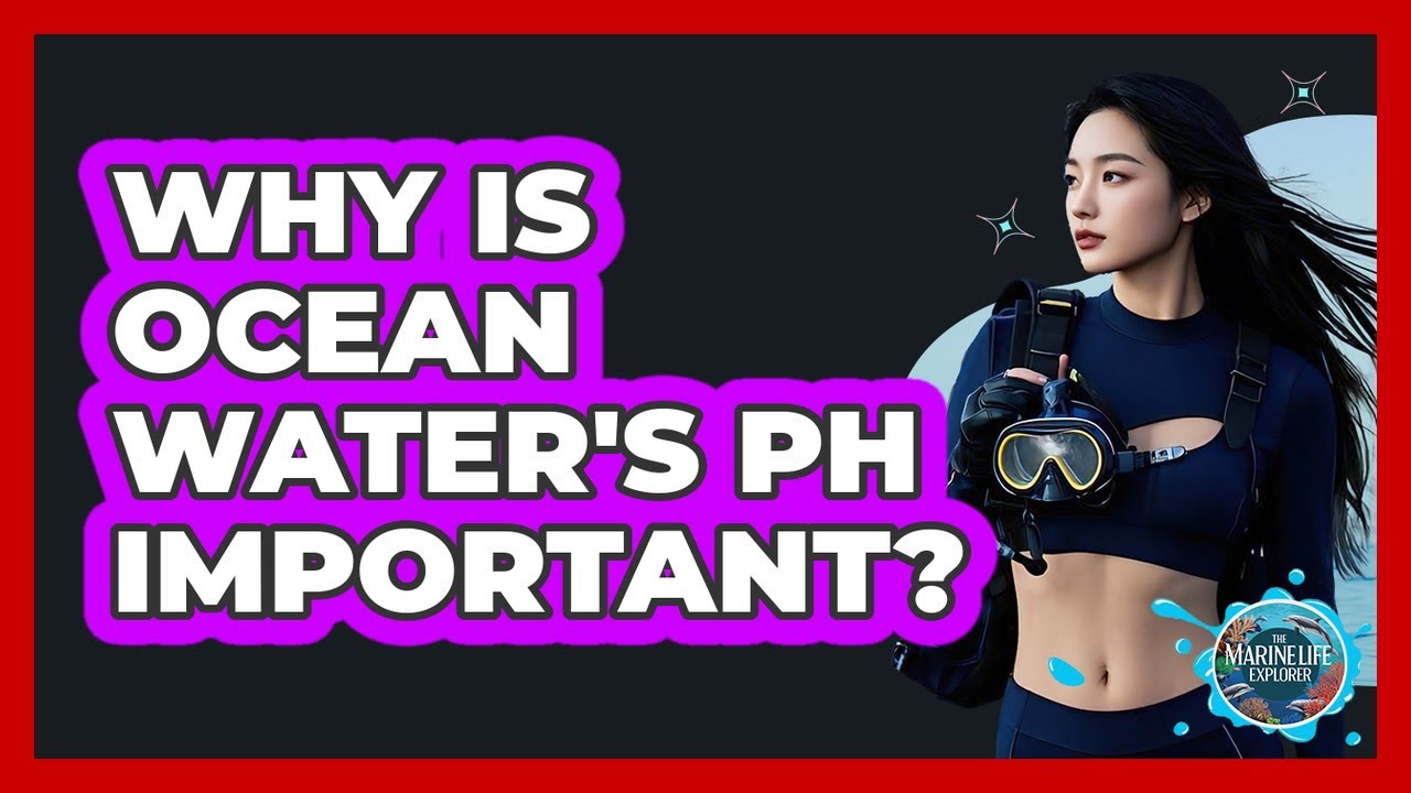 Why Is Ocean Water's pH Important? - YouTube