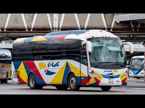 Evolución de Autobuses Línea Vía. - YouTube