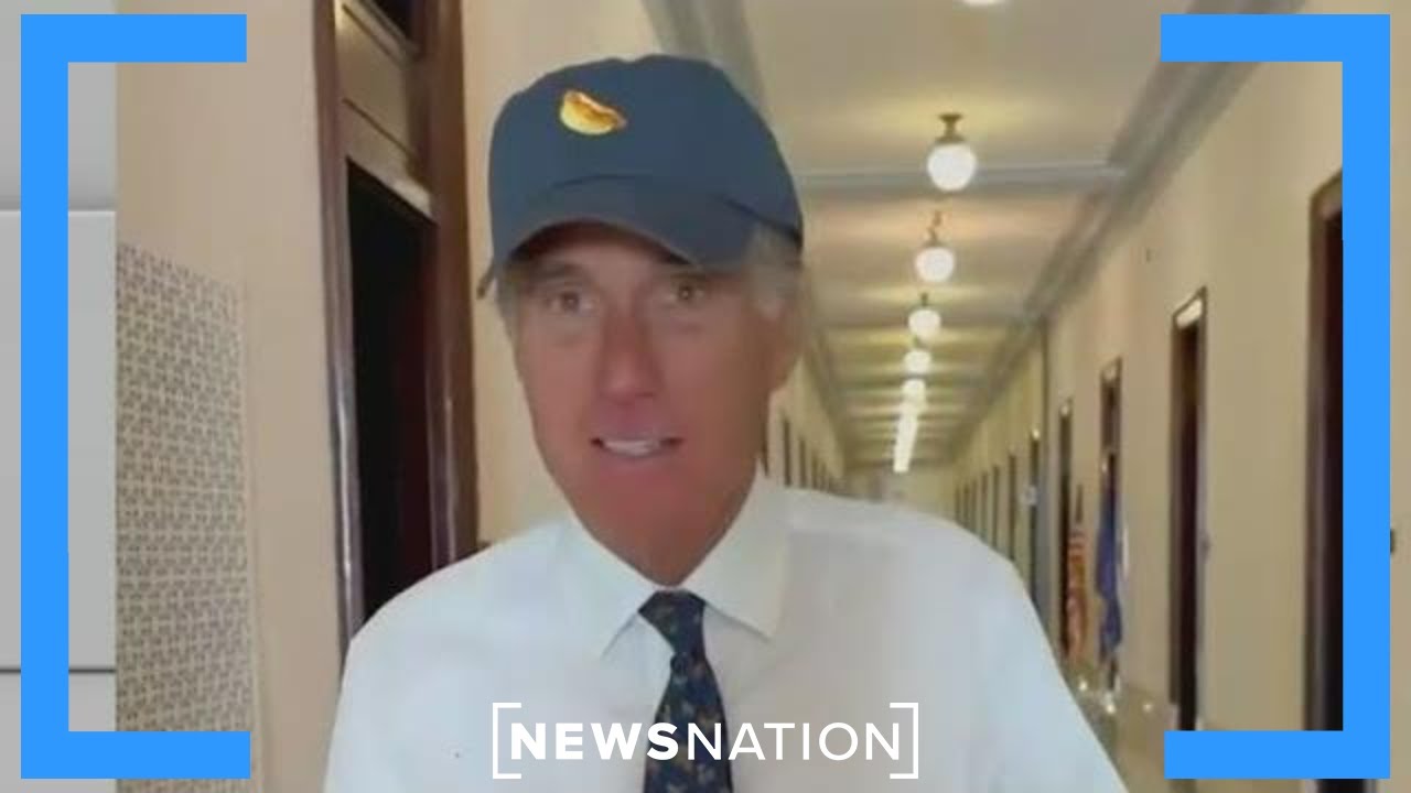 Mitt Romney celebrates National Hot Dog Day in viral video: 'Best meat ...