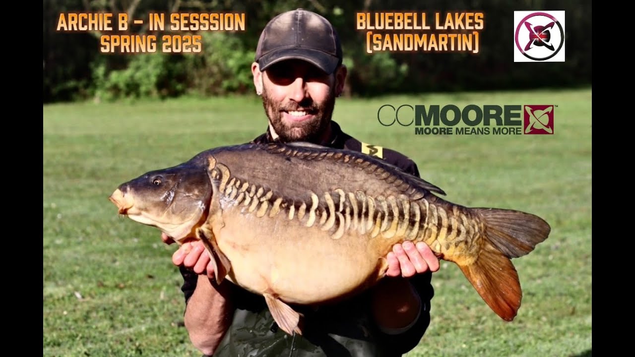 Archie B - In Session - Spring 2025 (Bluebell Lakes - Sandmartin) - YouTube