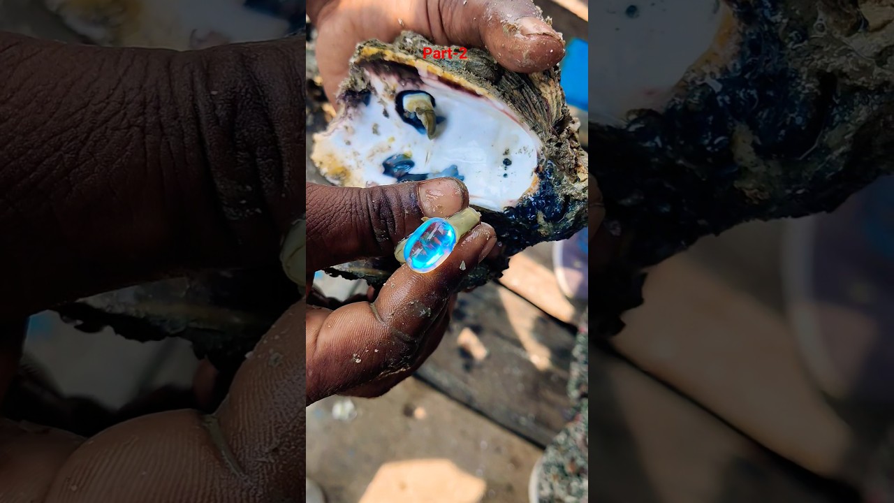 Part - 2 How Local's cheat tourist in Chilika, by so called 'opal' gem #fraud #chilka #opal # ...