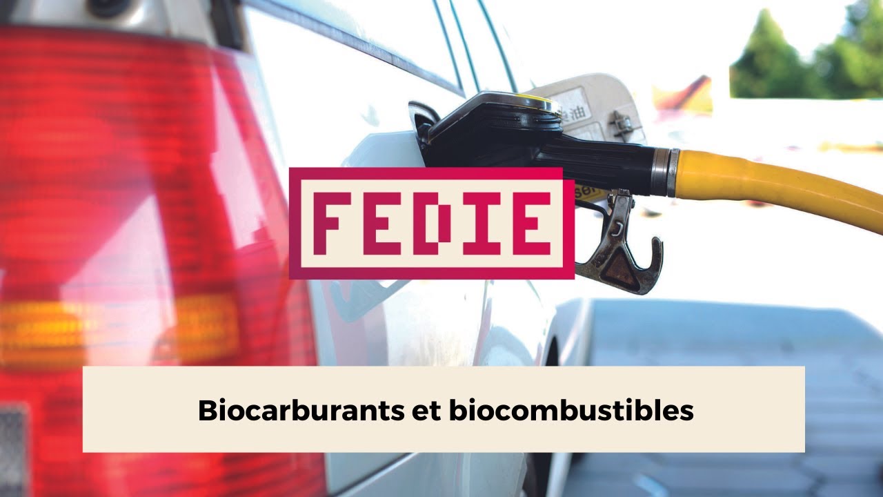 Biocarburants et biocombustibles - E85 - HVO - EFUEL - FEDIE - YouTube