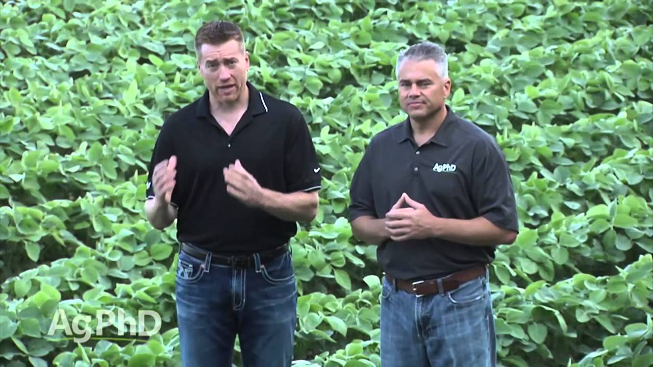 Ag PhD Show #902 (Air Date 7/19/15) - YouTube