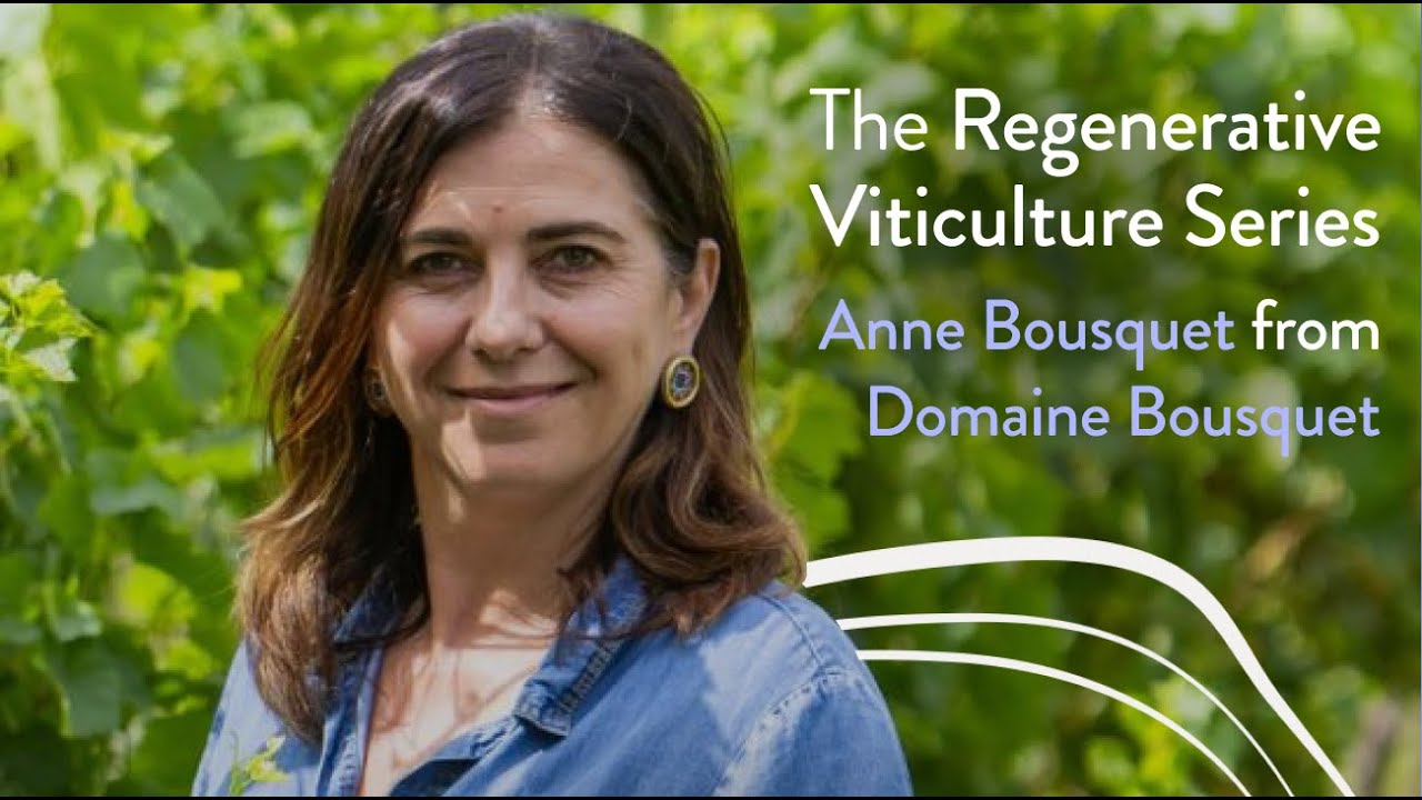 Anne Bousquet: How to Run a Large Scale Certified Viticulture Business ...