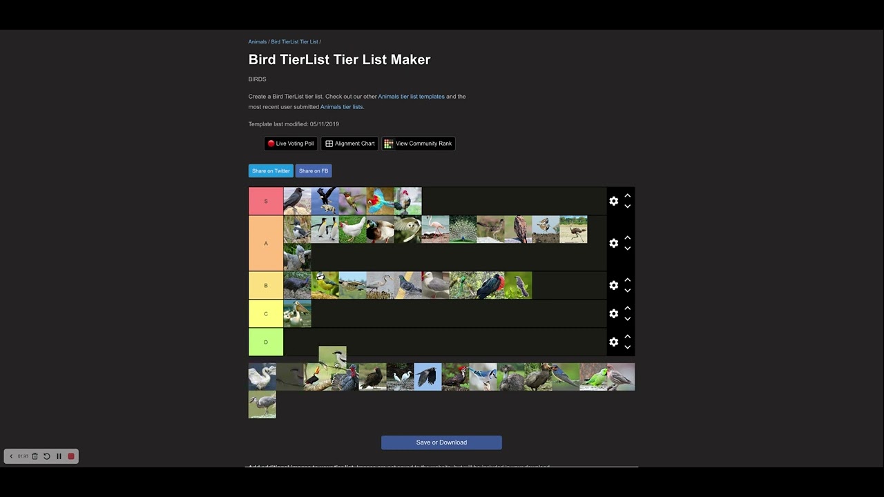 Bird Tier List YouTube bird-tier-list-youtube