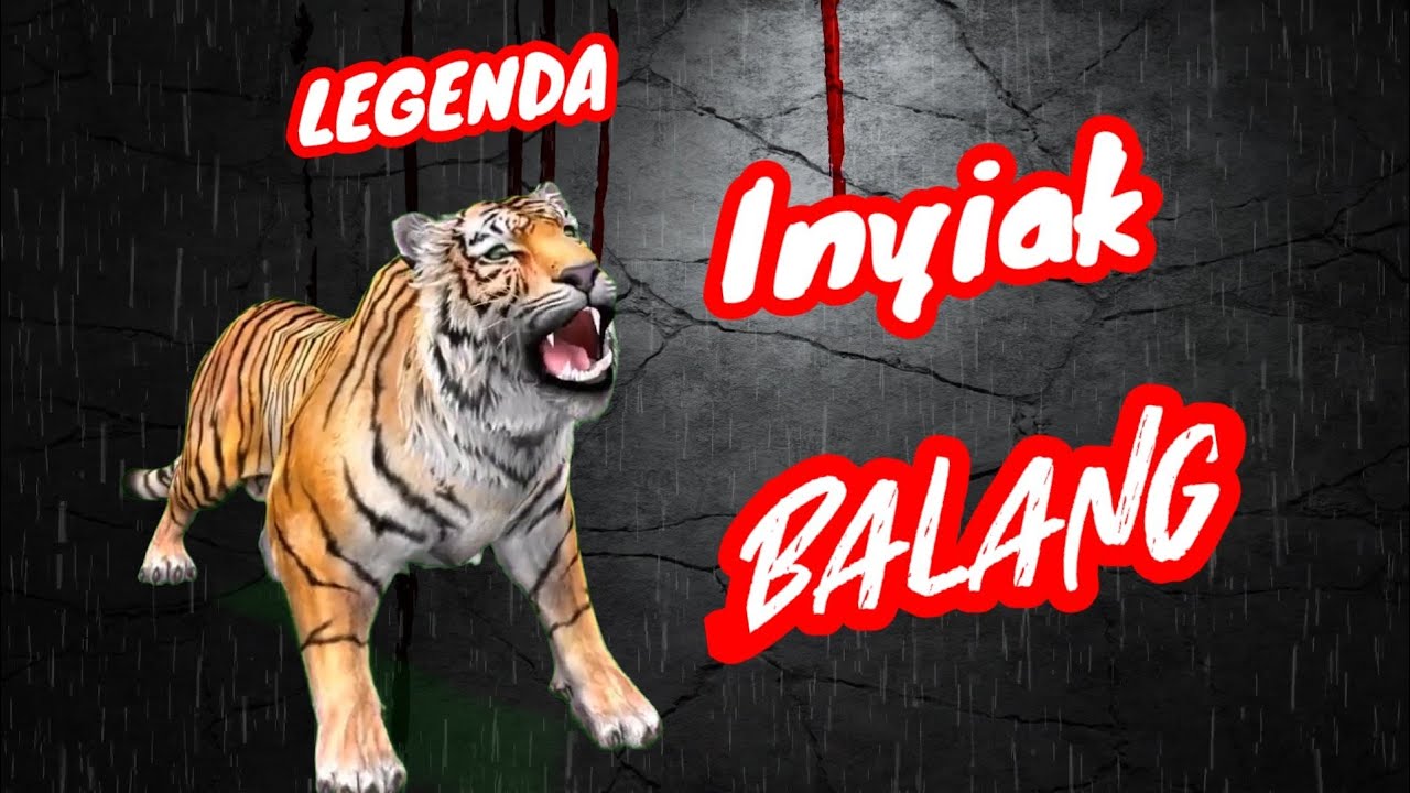 Inyiak Balang Misteri Harimau Sumatera Di Ranah Minangkabau - YouTube