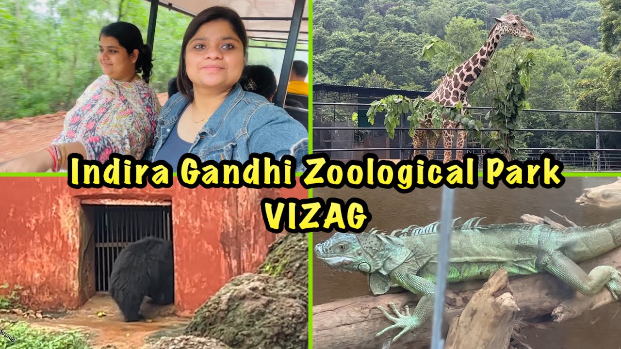Fun day at VIZAG ZOO | Indira gandhi zoological park Vishakhapatnam ...