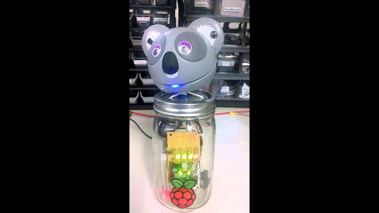 Raspberry Pi Koala robot phase3 - YouTube