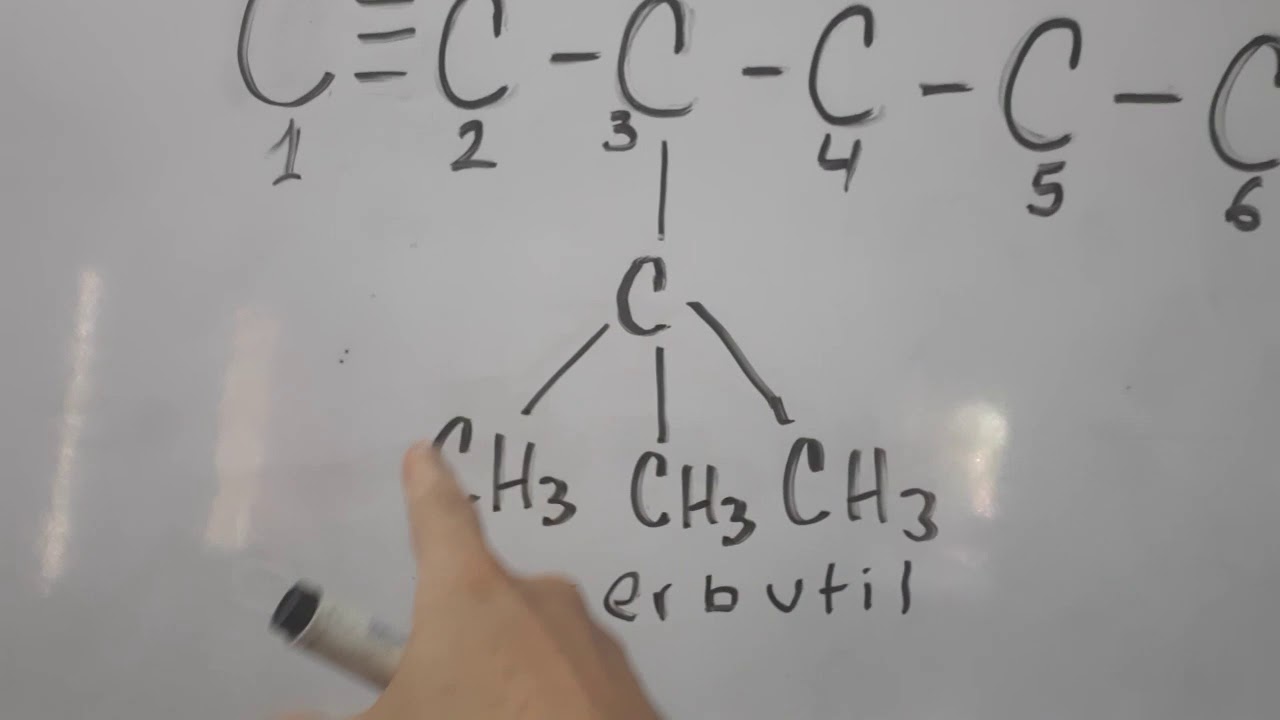 Parte final de la Estructura del 3-Terbutil-4Butil-5-Isobutil-1-Nonino ...