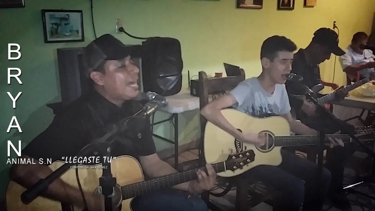 BRYAN & ANIMAL S.N - LLEGASTE TU - 2017 - YouTube