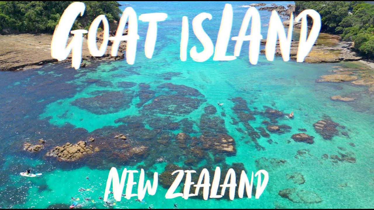 Goat Island New Zealand - Ep.5 - YouTube