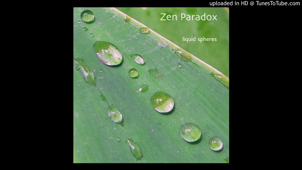 ZEN PARADOX - Hypochondriac Wasp - YouTube