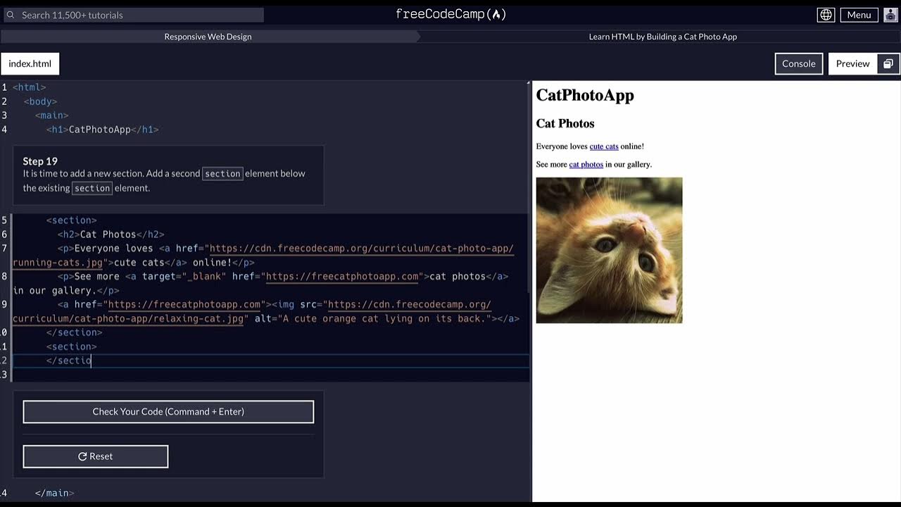 FreeCodeCamp - Responsive Web Design - Step 19 of 71 - Learn HTML by Building a Cat Photo App ...