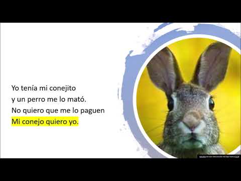 El conejito - Rimas y lecturas. Primer grado - YouTube