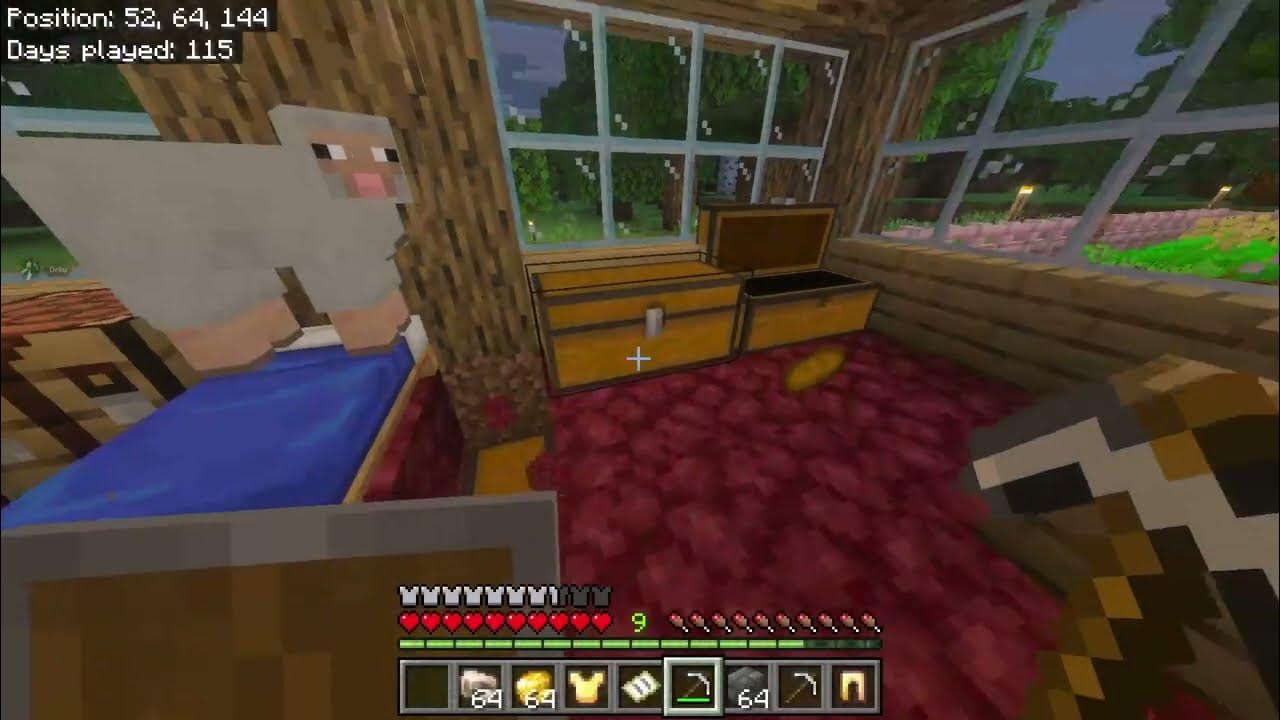 Diamonds and Enderman| Survival Series (Part 11/11) - YouTube