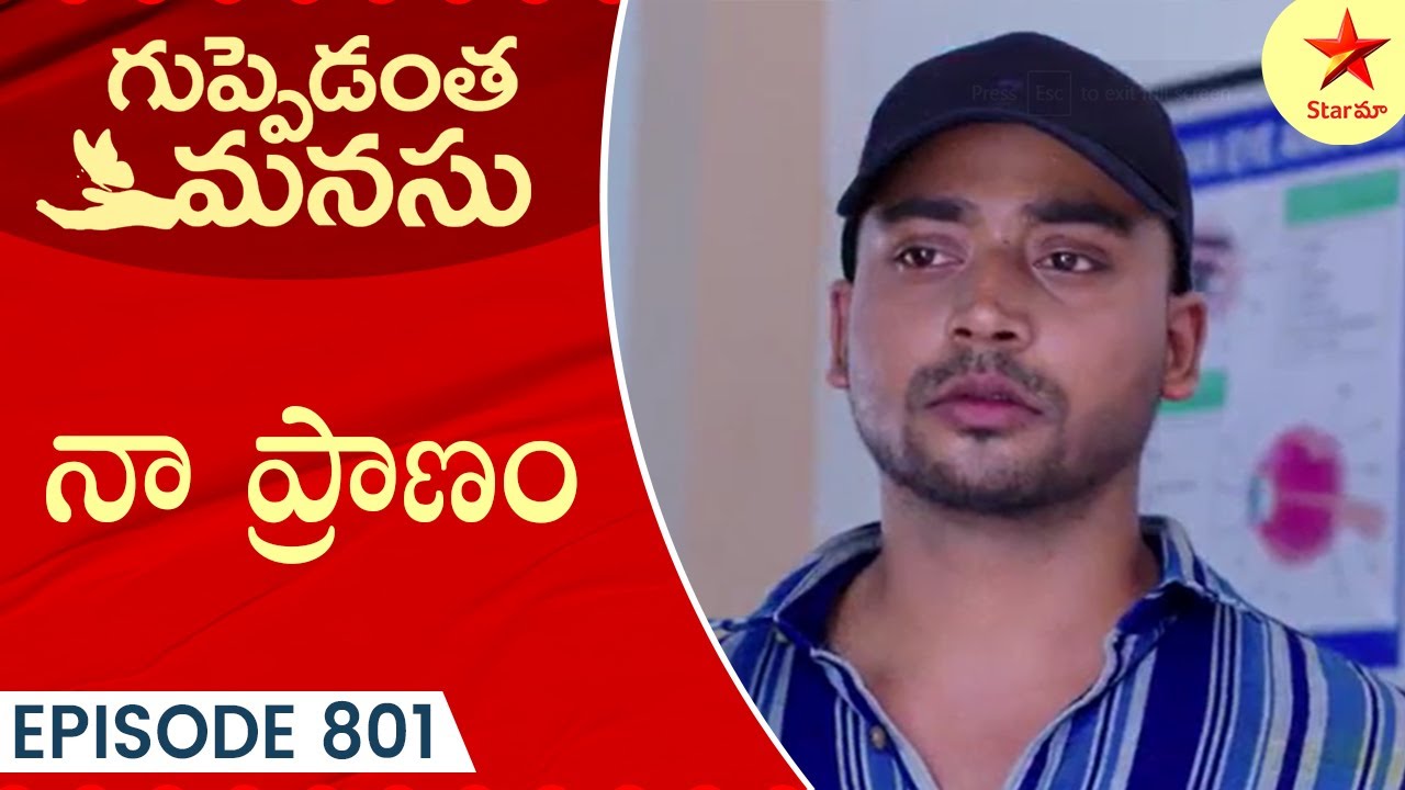 Guppedantha Manasu - Episode 801 Highlight 1 | Telugu Serial | Star Maa ...