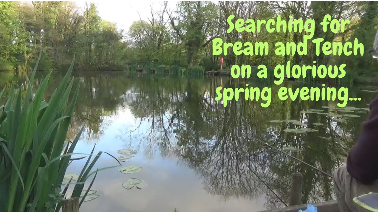 Love for the lift method! Searching for Bream and Tench on a scenic ...