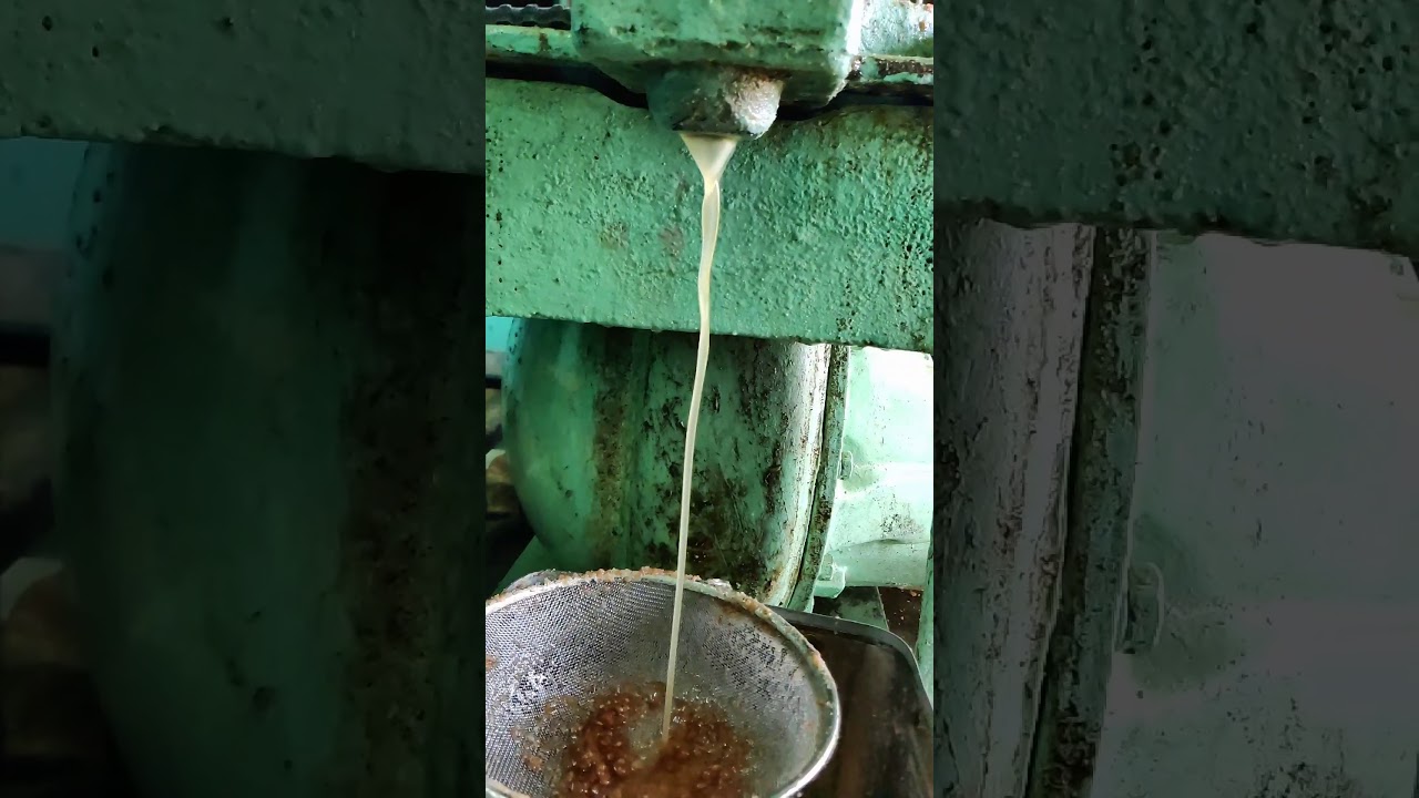 Pure Ground Nuts Oils Coming after the process - YouTube
