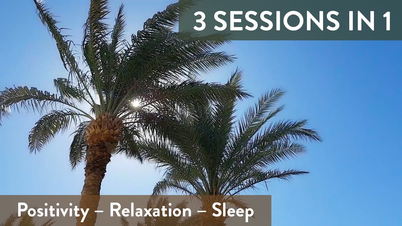 Calming Palm Trees - Fall asleep FASTER to the soothing sounds of wind ...