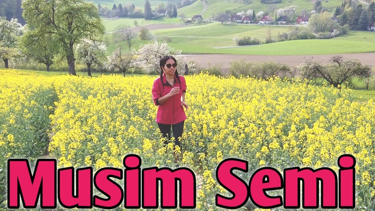 Musim Semi /Musim semi di Swiss - YouTube