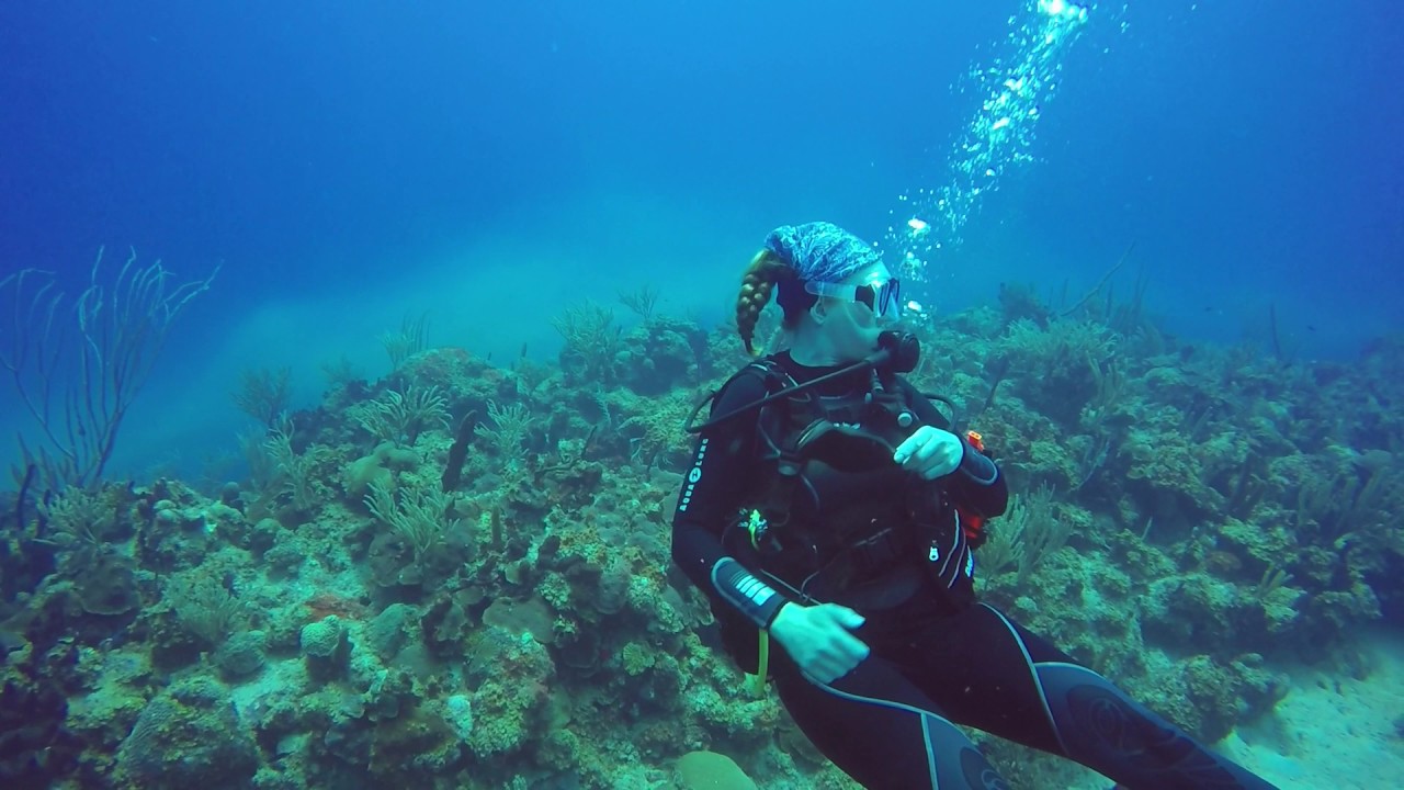 St. Croix Diving 5-30-16_ West Wall_87ft_ 50'_ Julie - YouTube