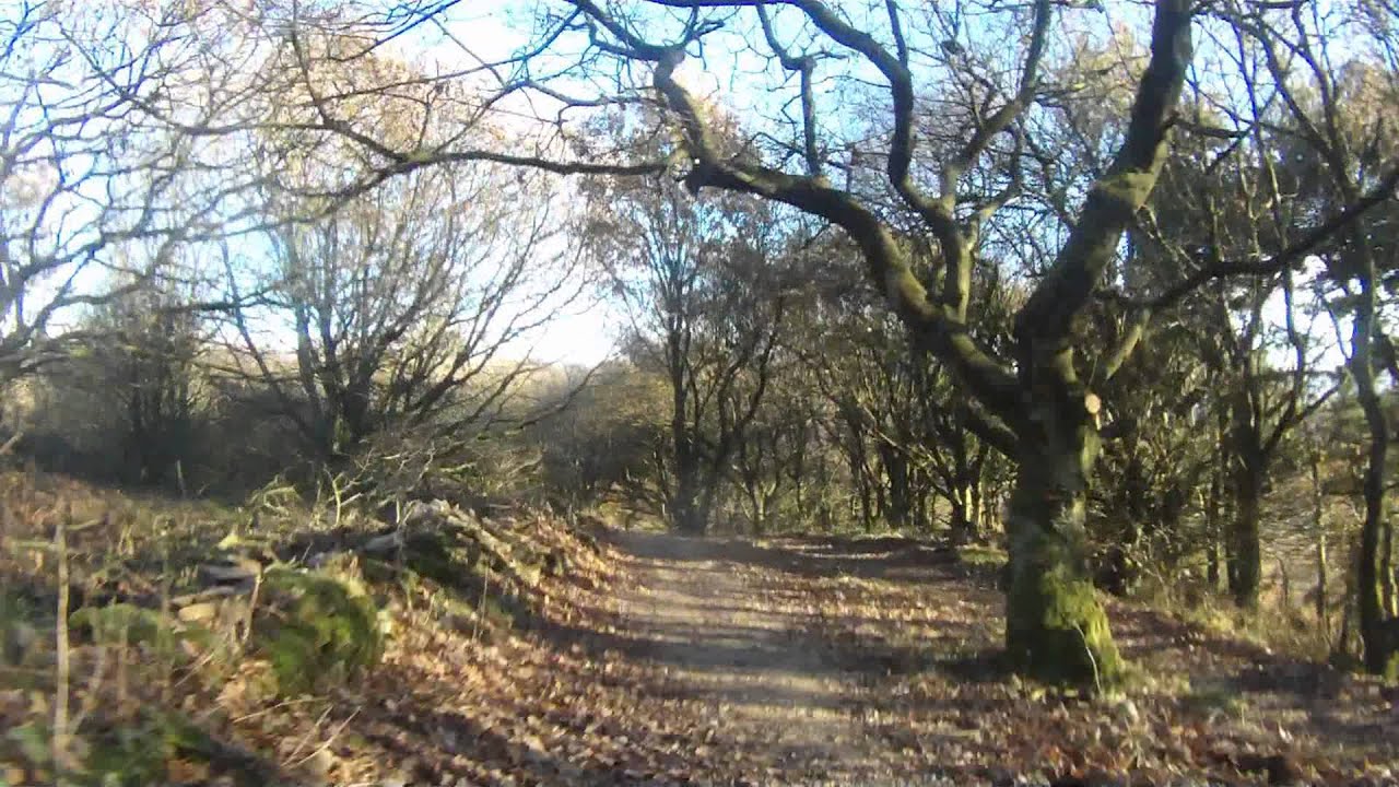 Sutton Bank November 2013. Family Mountain Biking Trail - YouTube