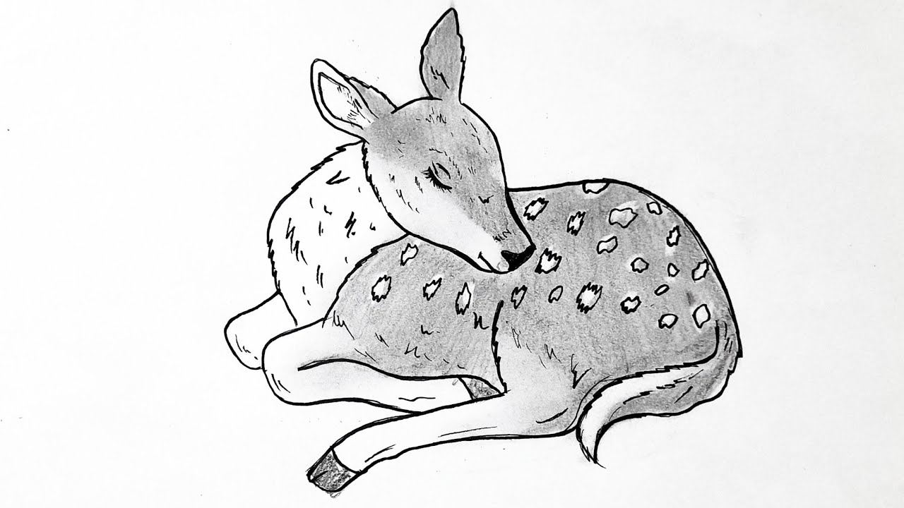 How to draw a sleeping deer || Easy deer drawing tutorial - YouTube
