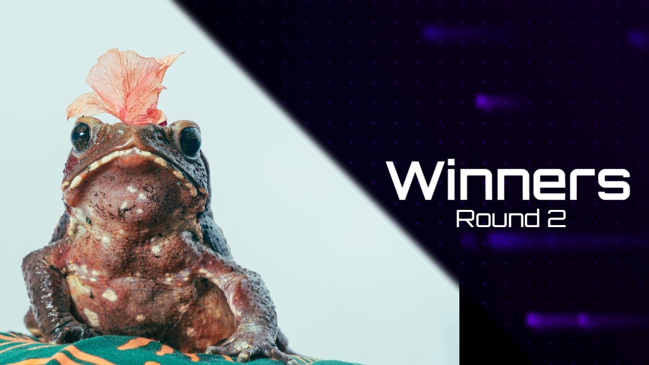 FROGS $500 2v2 Tournament: Week 1 Winners Round 2 - YouTube