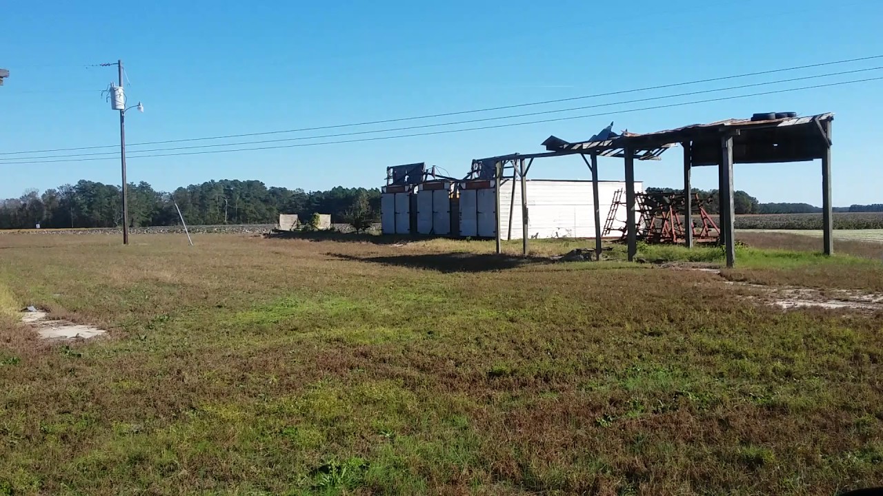 Bulk Tobacco Curing Barns - YouTube