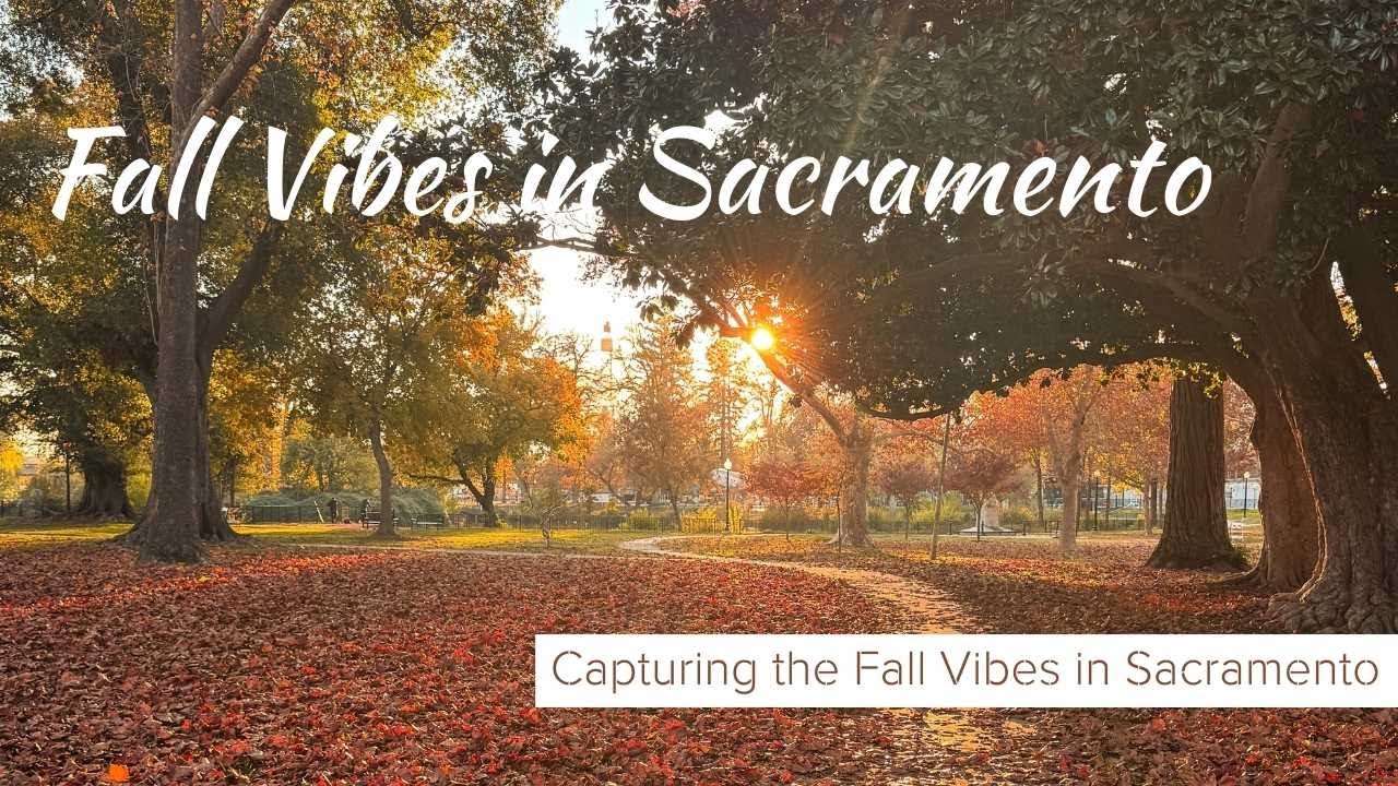 Fall Vibes In Sacramento! Capturing The Beauty of Sacramento In The ...