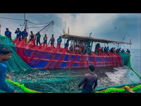 Massive Fish Catch in Kerala‼️Purse Seine Boat Overflowing with Fishes🤩🐟🐠prajapathy boat 💥🔥