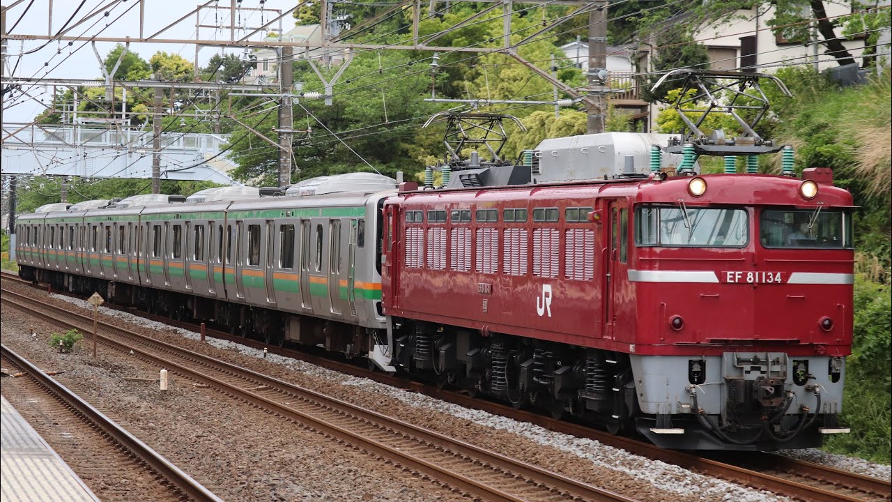 EF81 134＋E231 青森改造センター入場回送 大磯通過。 - YouTube