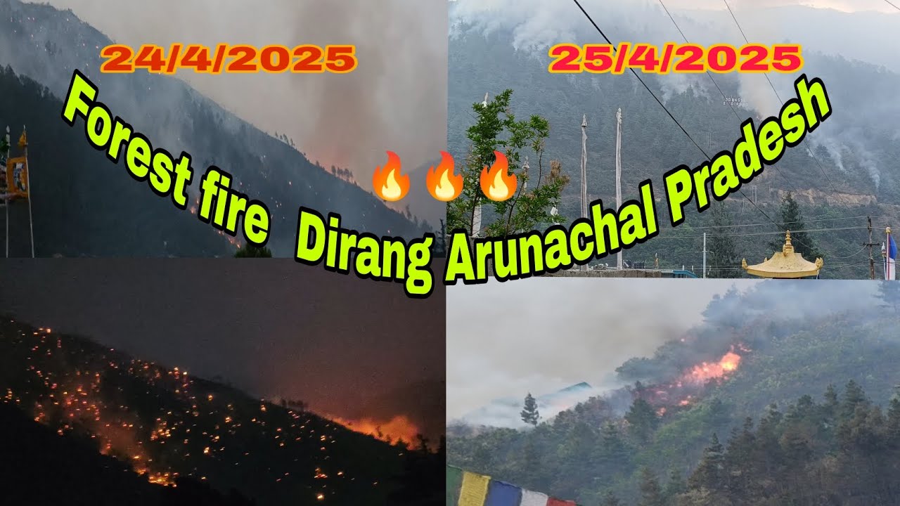 Forest fire Dirang Arunachal Pradesh - YouTube