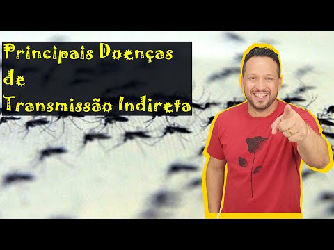 Principais Doenças de Transmissão Indireta para os Vestibulares - Programa de Saúde - Biologia