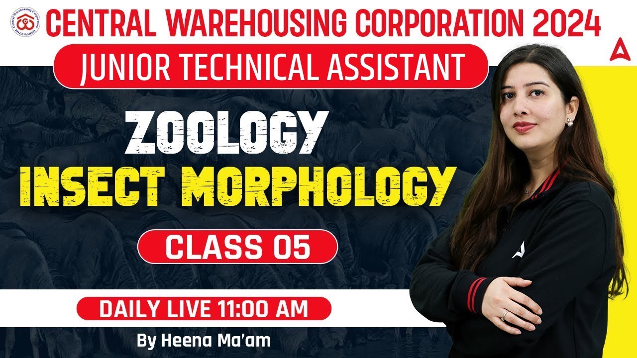 CWC 2024 | Junior Technical Assistant | Zoology | INSECT MORPHOLOGY ...
