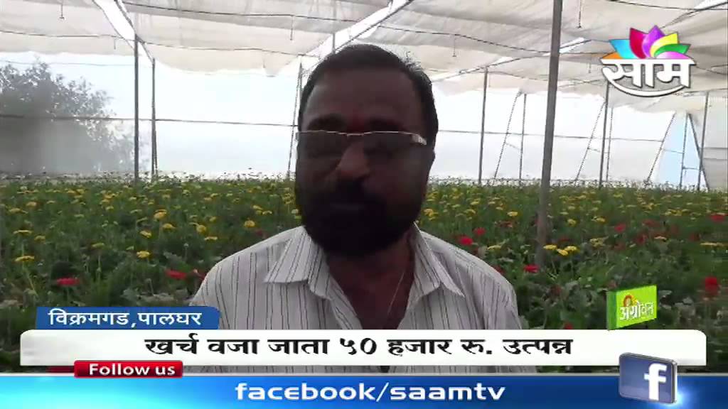 Anil Patil's Gerbera farming success story - YouTube