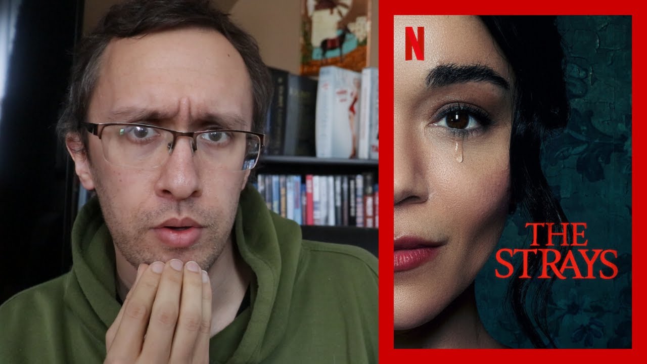 The Strays - A Netflix Review - YouTube