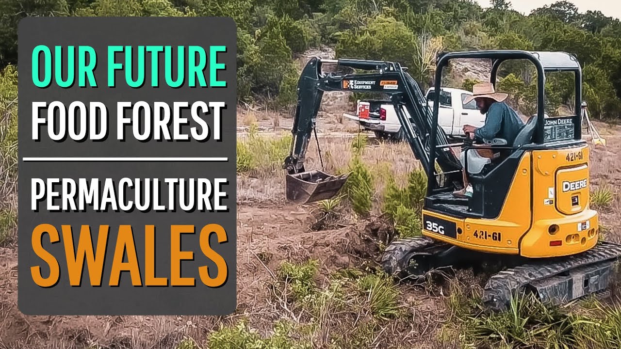 Our Future FOOD FOREST {Permaculture Swales} - YouTube